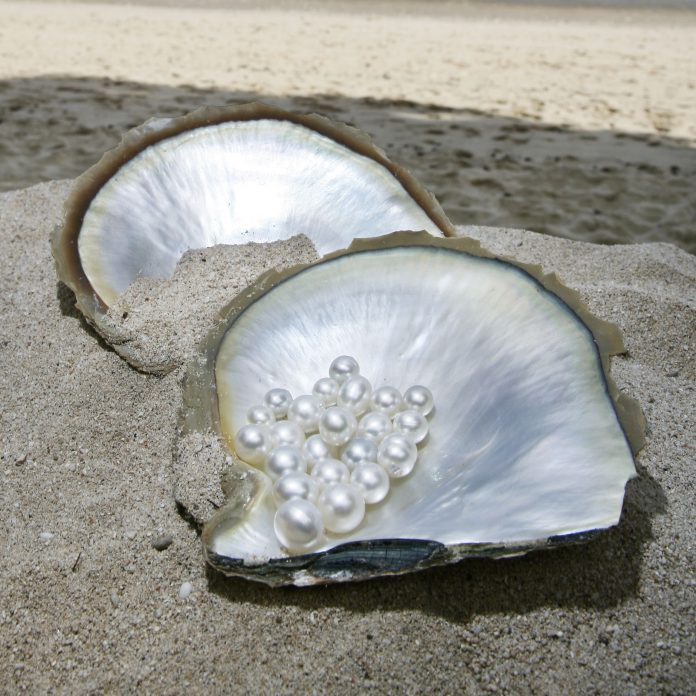 Here is How to Travel Bali Like a Local — Travel Beats